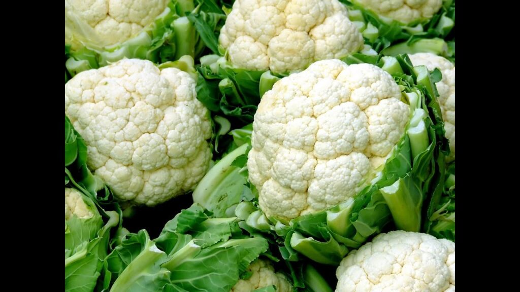 El Cultivo De Cardos En La Huerta Orgánica