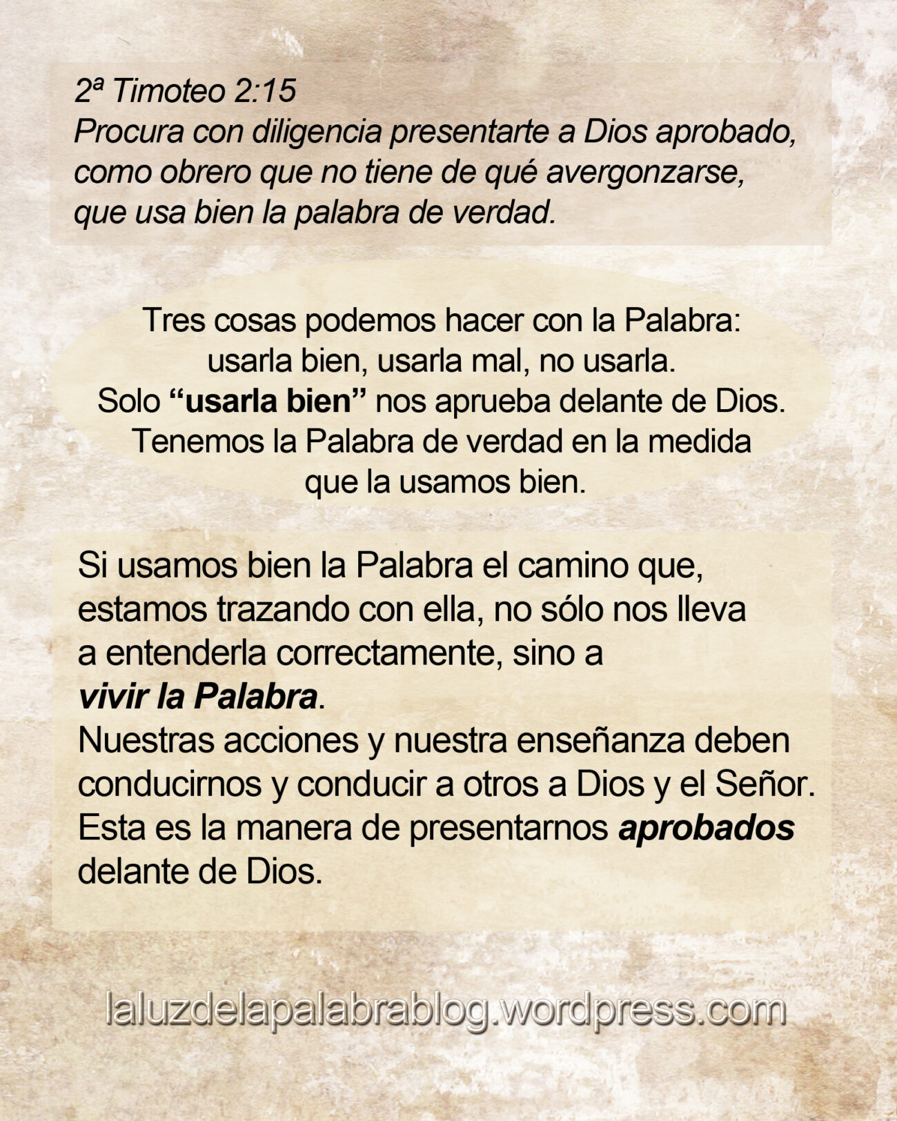 La Pala: Cómo Y Cuándo Usarla